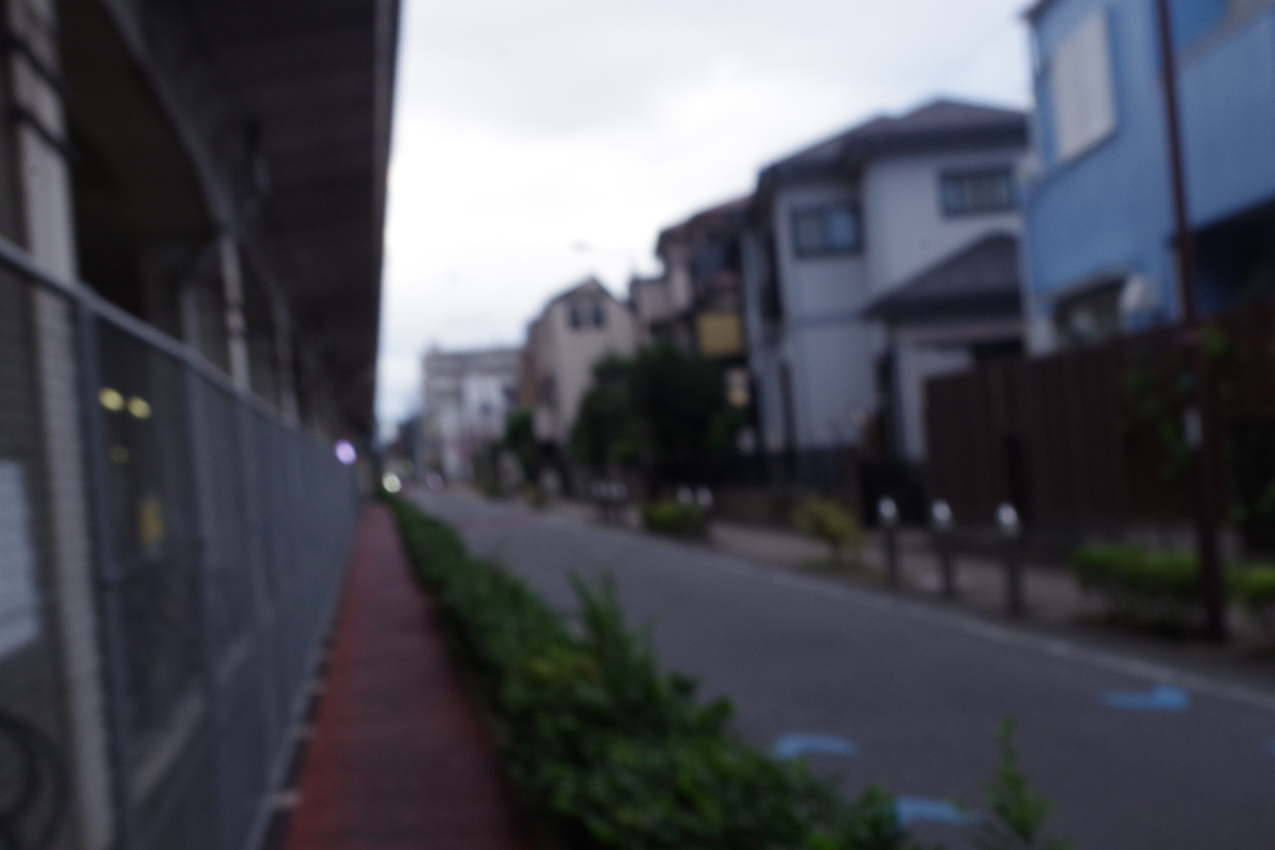 ライターから記事を探す | 掬 -kikusuku-（きくすく）