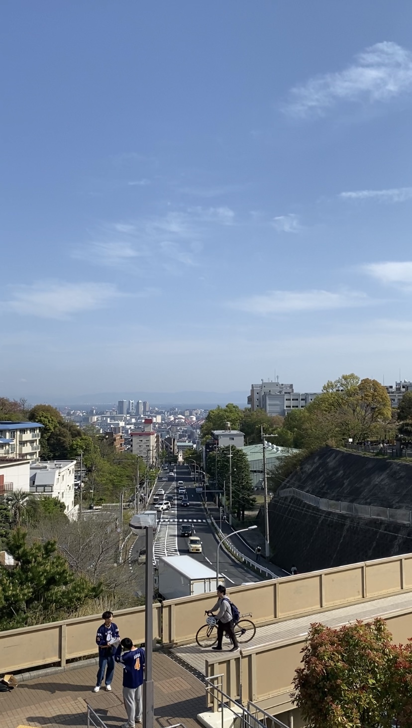 kikusukuギャラリー・春 | 掬 -kikusuku-（きくすく）