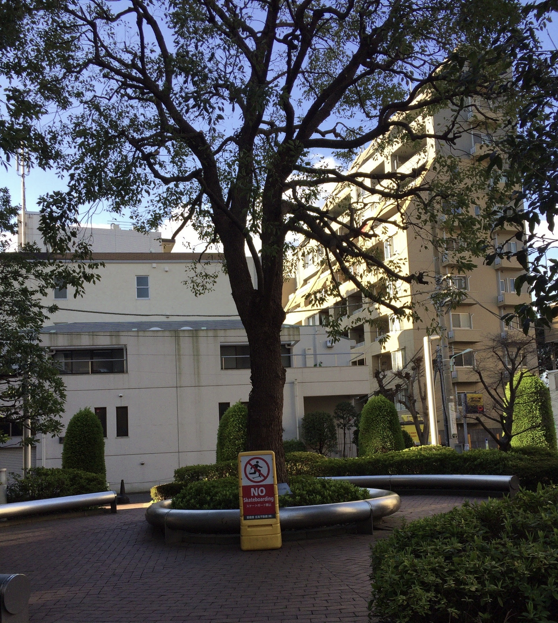 「認知」されたくないオタクの心情について。 ーー推しを「消費」していること | 掬 -kikusuku-（きくすく）